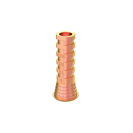 Titanium Temporary Abutment incl. RS-TTA – Mein Shop